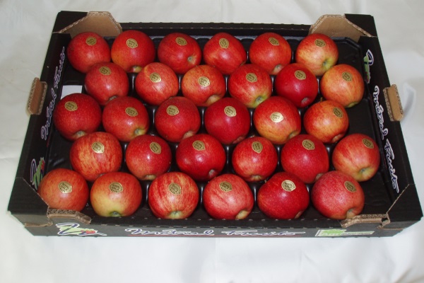 Gala - Métral Fruits